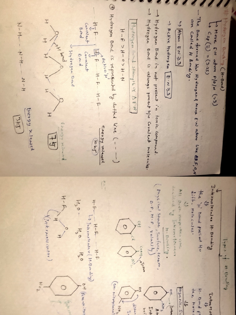 Adobe Scan Notes | PDF