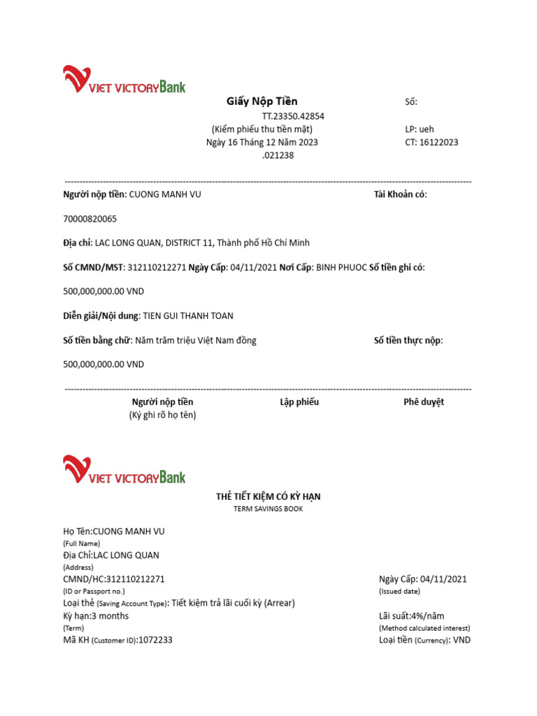 Vu Manh Cuong | PDF | Ho Chi Minh City | Southeast Asia