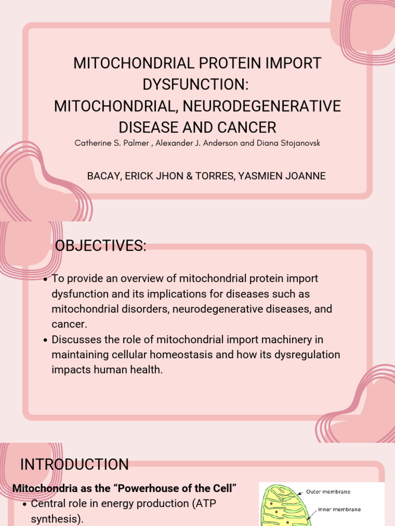 Mitochondrial Protein Import Dysfunction: Mitochondrial, Neurodegenerative Disease and Cancer ...