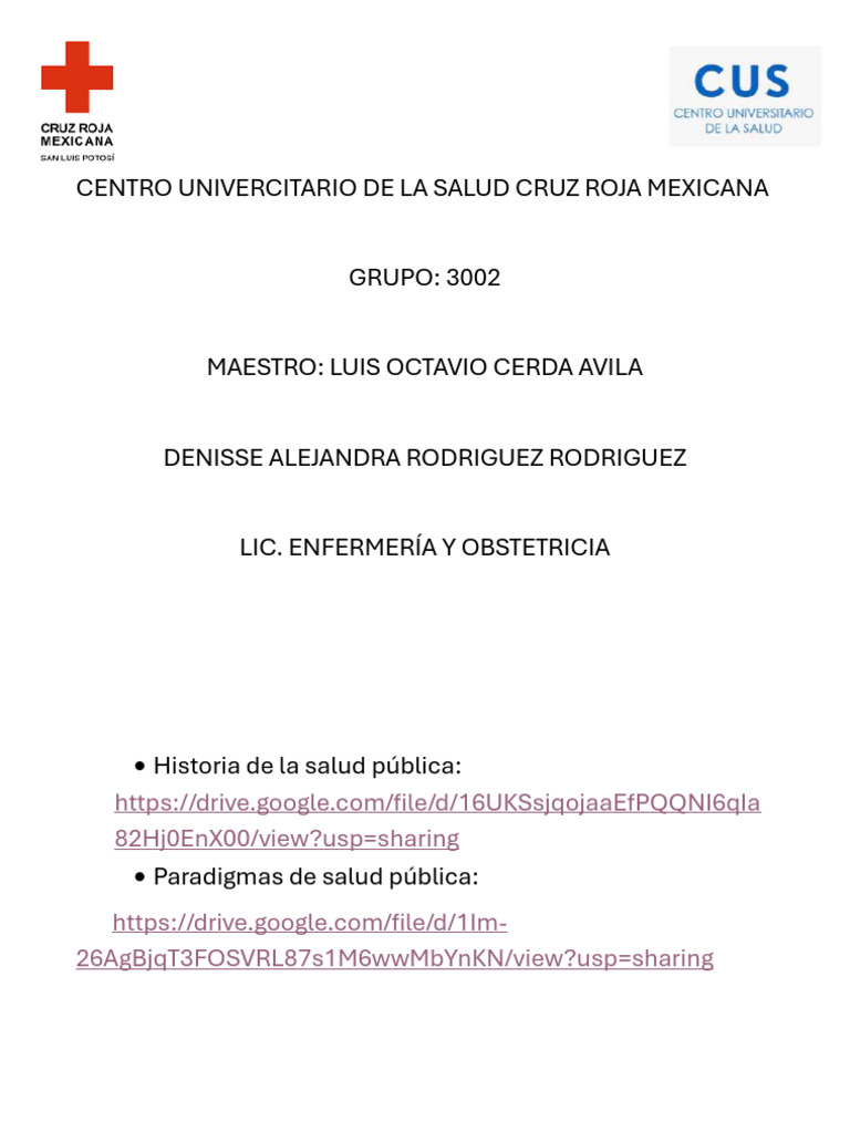 Denisse Rodriguez Infografia | PDF