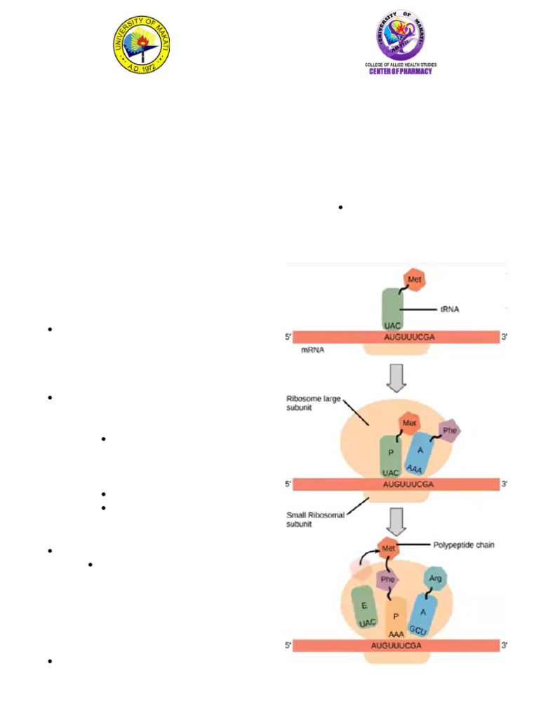 Transcriptions-For-Antibacterial-Drugs Part 3 | PDF