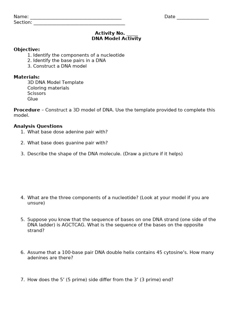 DNA Paper Model Lab Activity | PDF