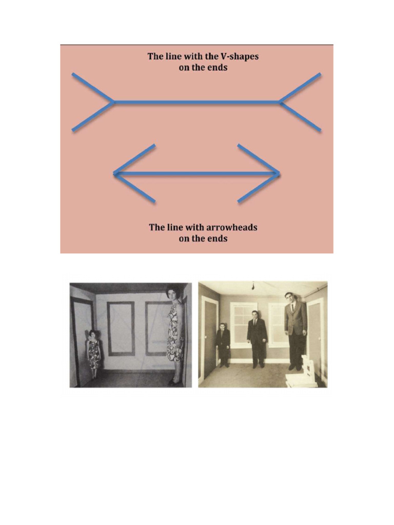 Psych Illusions Project Photos | PDF