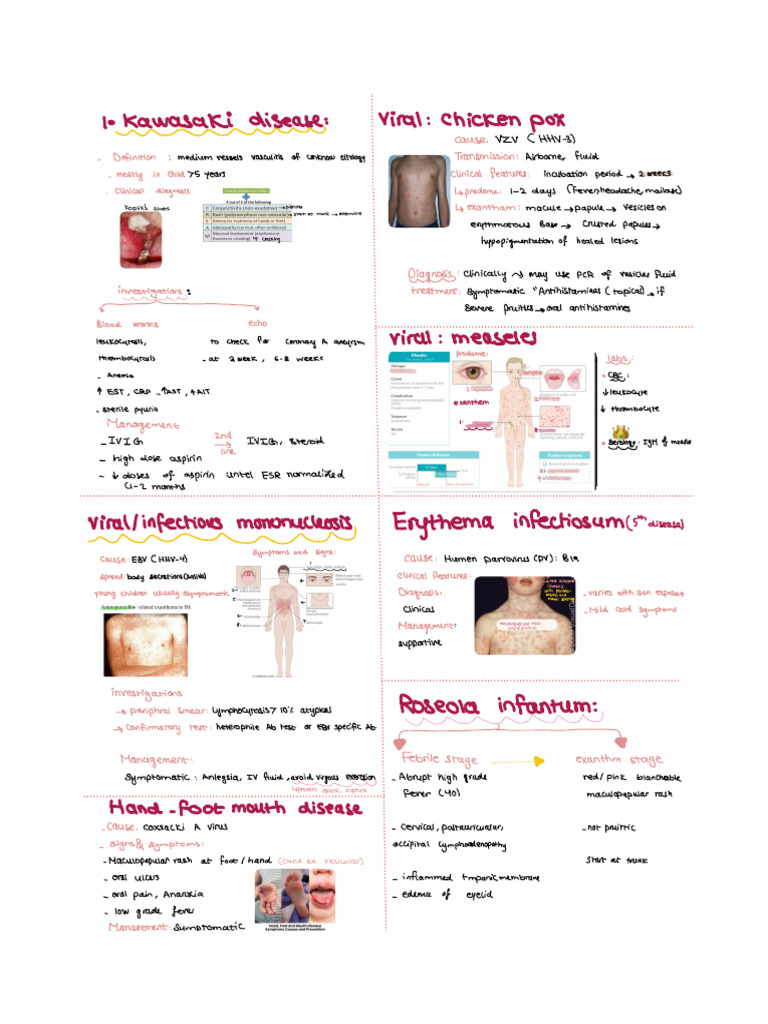 Fever and rash ? | PDF