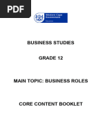Business Studies Grade 12 HIGH FLYERS Learners P2 | PDF | Business ...