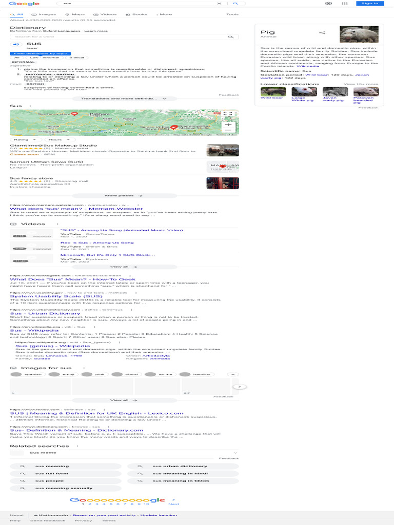 Sus - Google Search | PDF