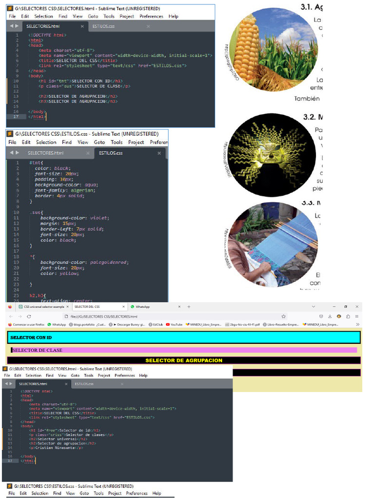 Diseño SELECTORES CSS | PDF