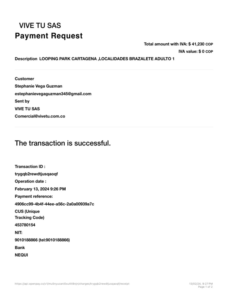 PSE Payment Receipt | PDF