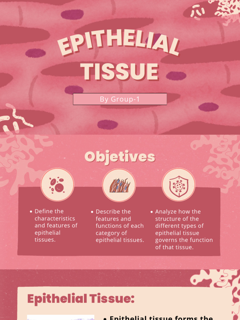 General Biology - Epithelial Tissues | PDF