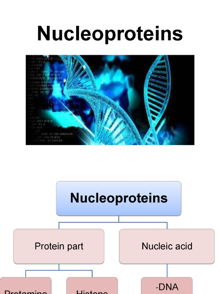 Nucloprotein | PDF
