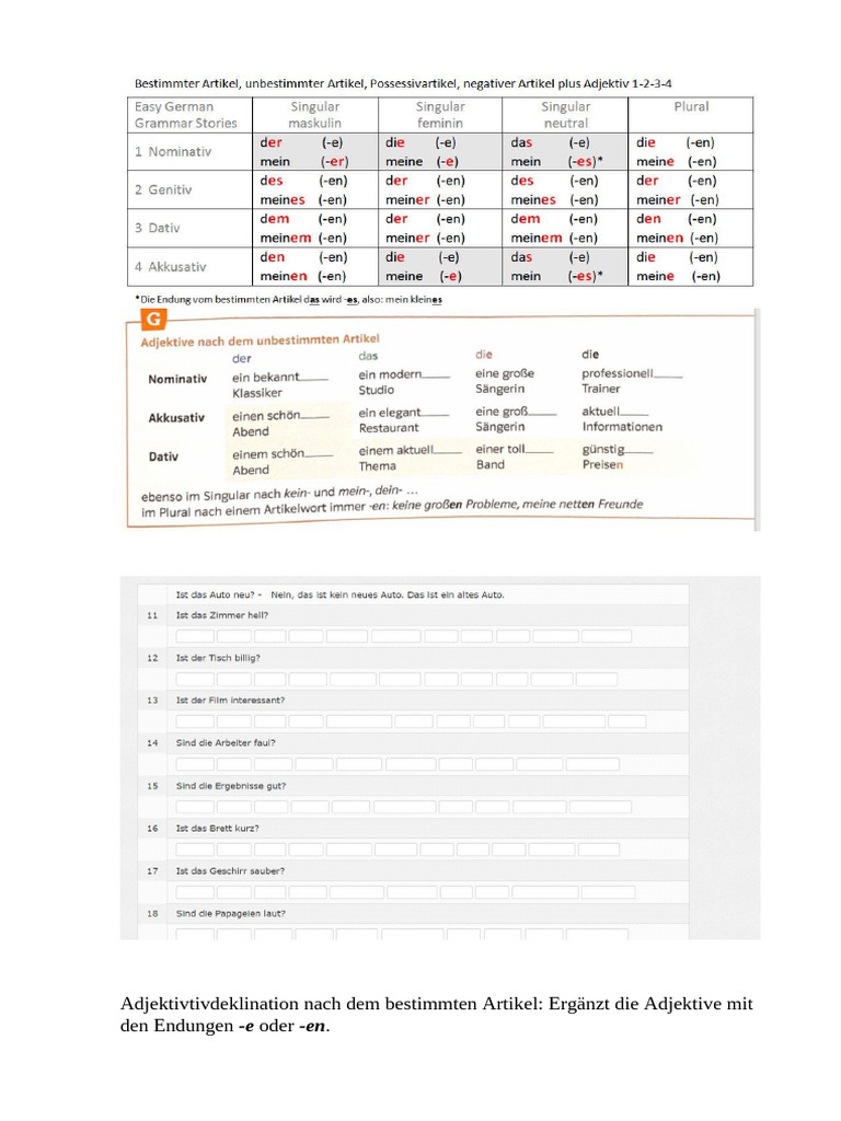 Adjektivtivdeklination Nach Dem Bestimmten Artikel | PDF