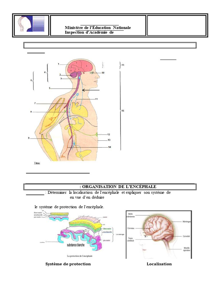 Th1 Ts2f Ts1 Planches | PDF