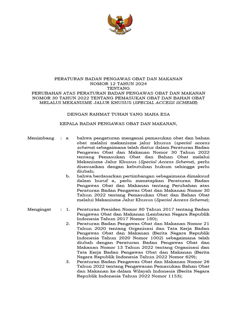 Special Access Scheme | PDF