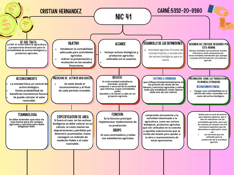 mapa conceptual nic 41 | PDF