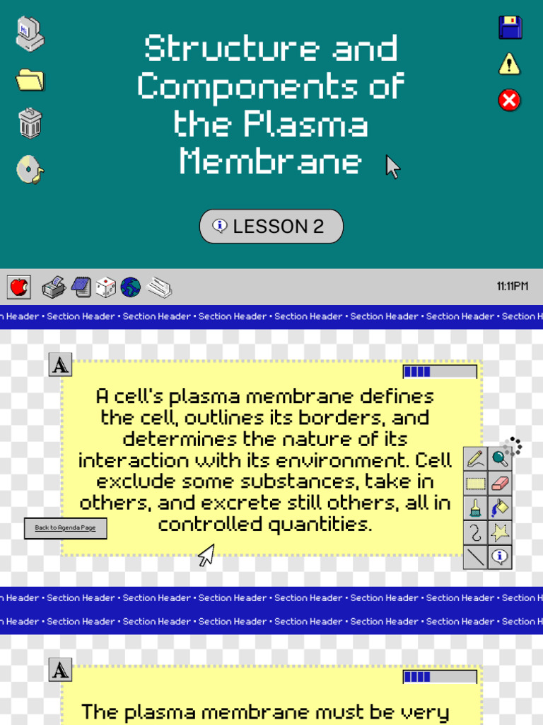 Structure and Components of The Plasma Membrane | PDF | Cell Membrane ...