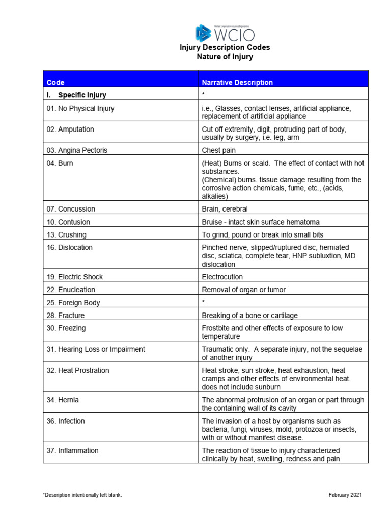 Nature of Injury | PDF