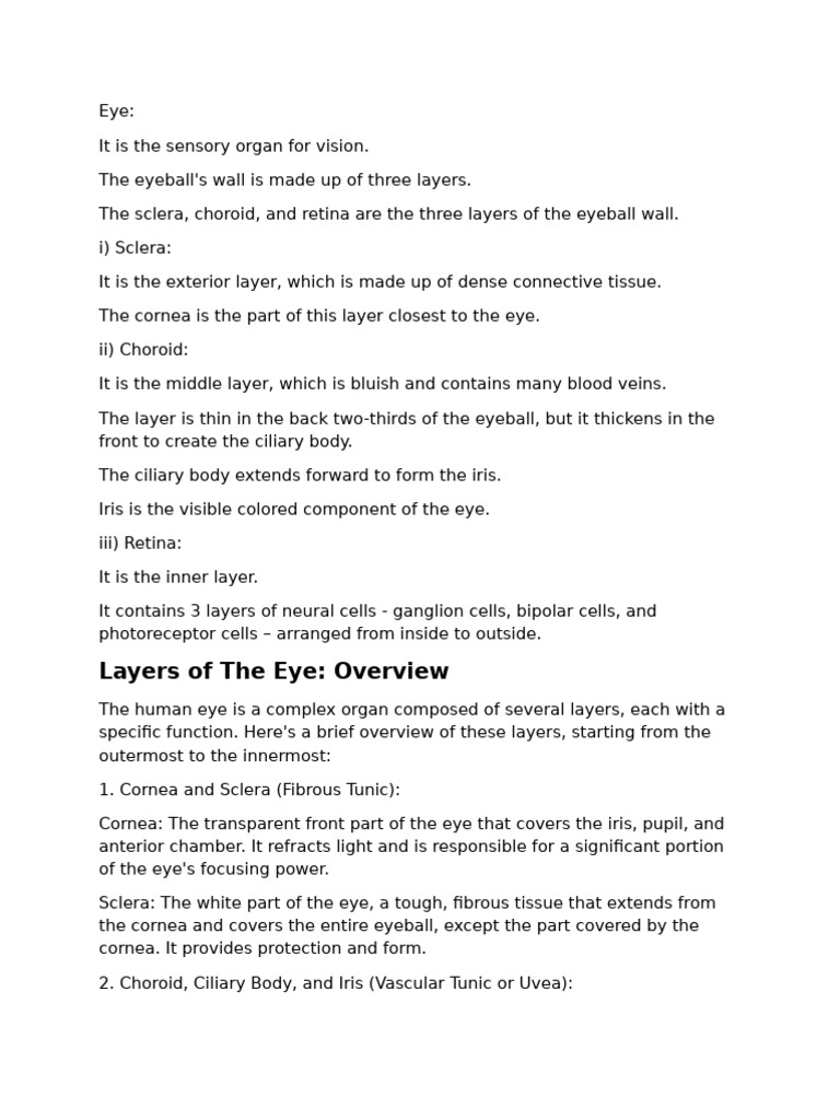 Layers of The Eye: Overview | PDF