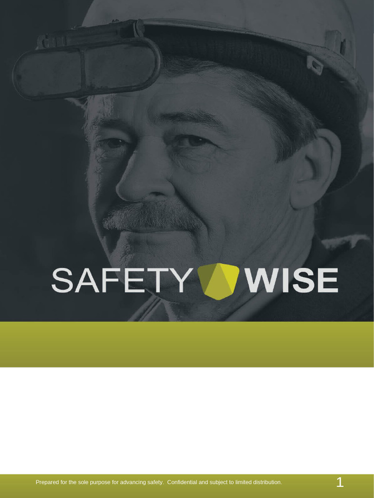 TEMPLATE - ICAM Investigation Report 2021 Ver4 | PDF