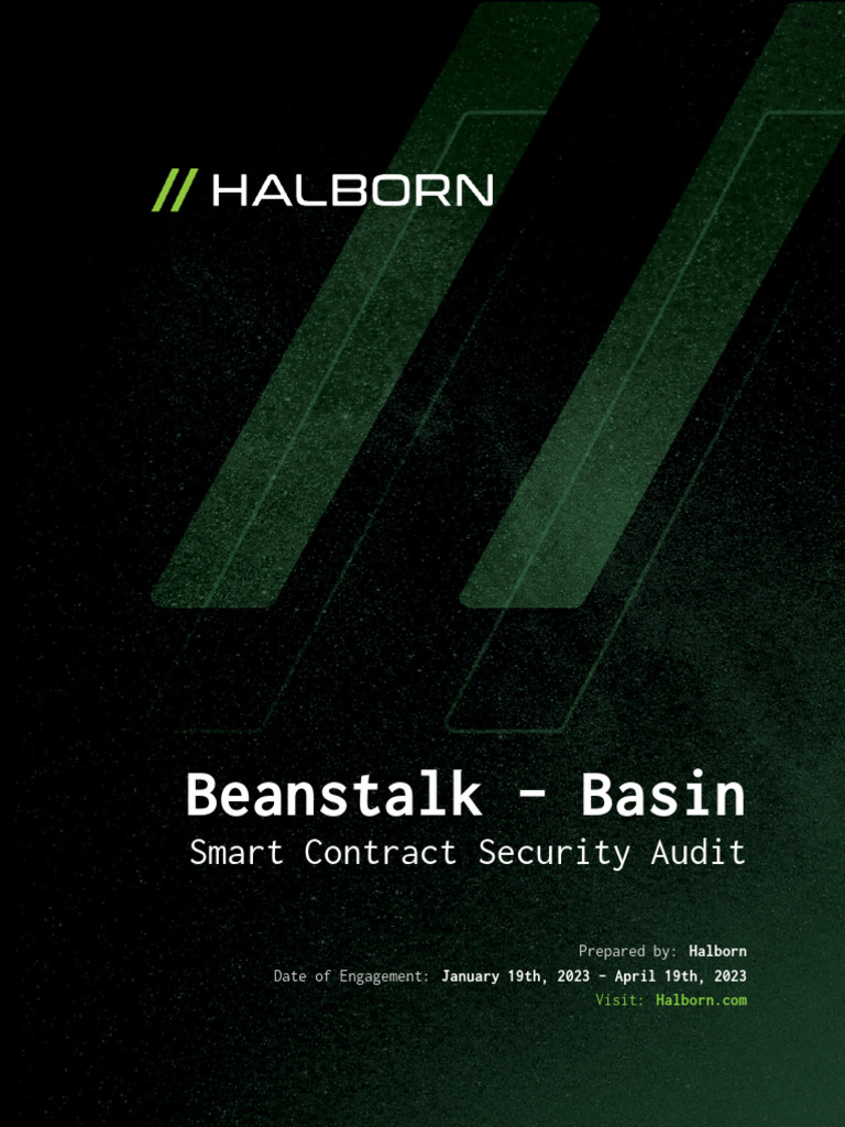 Basin - Halborn Audit | PDF