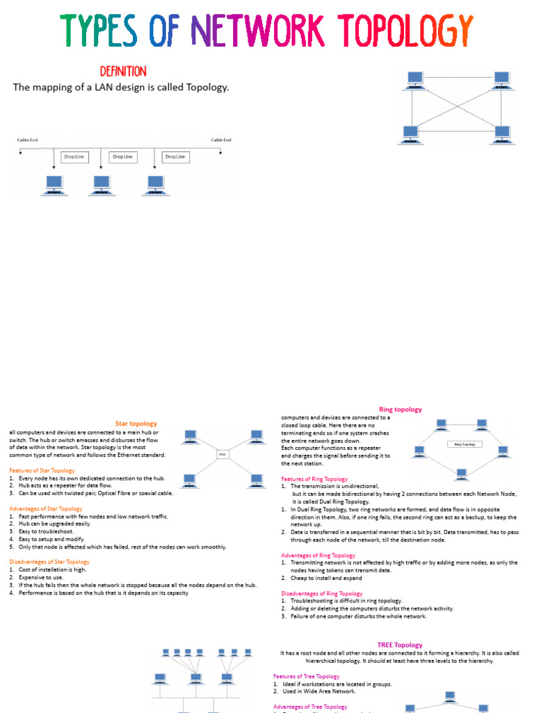 Network Topologies CAT Grade 12 2024 | PDF