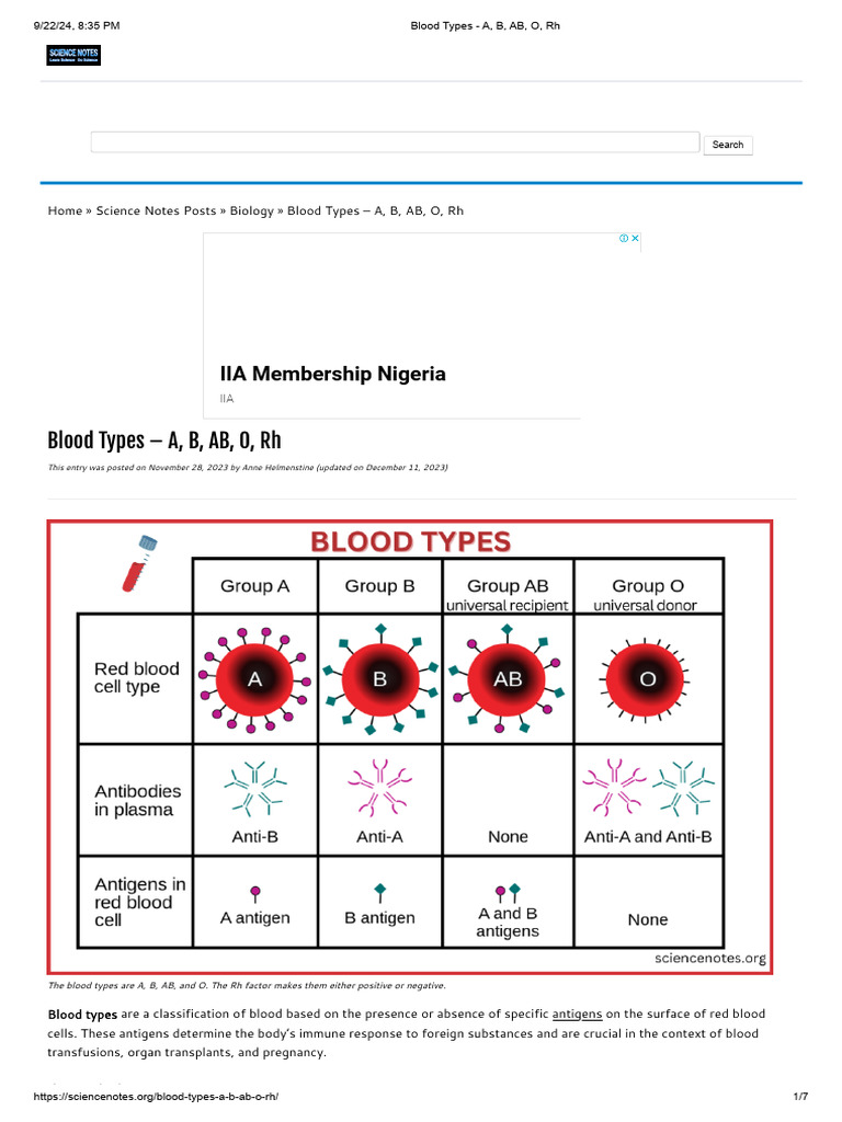 Blood Types - A, B, AB, O, RH | PDF