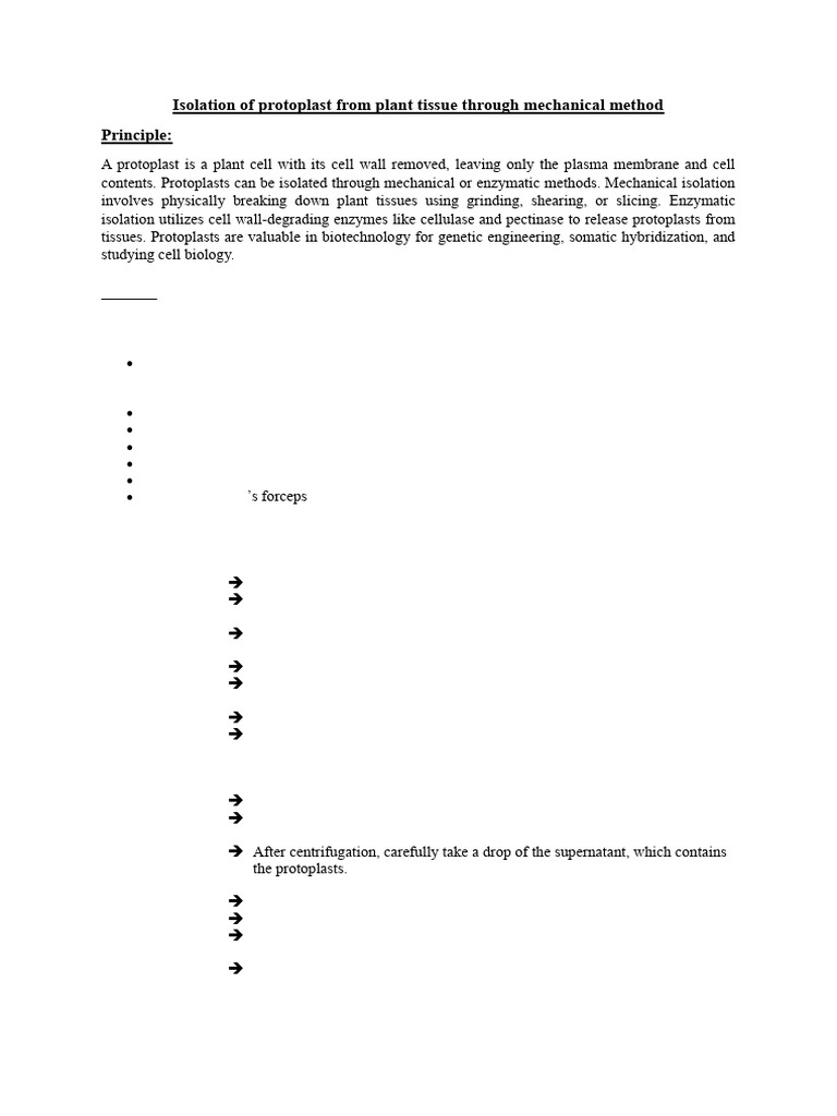 Mechanical Protoplast Isolation Method | PDF | Cell (Biology ...