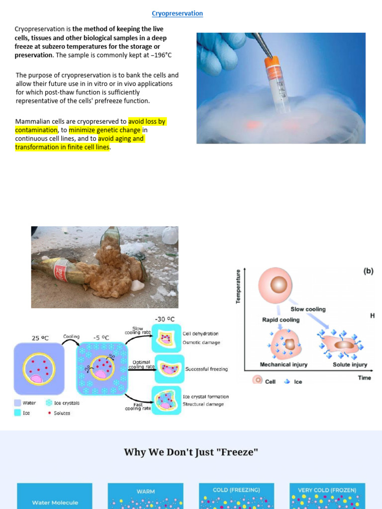 Cryopreservation | PDF | Home & Garden