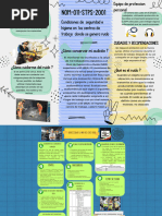 Norma 024 STPS 2001 | PDF