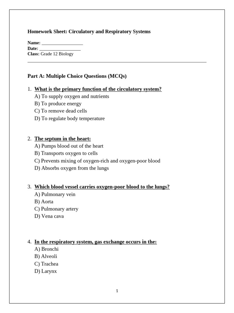G12 HW SHEET Chapter 2 | PDF