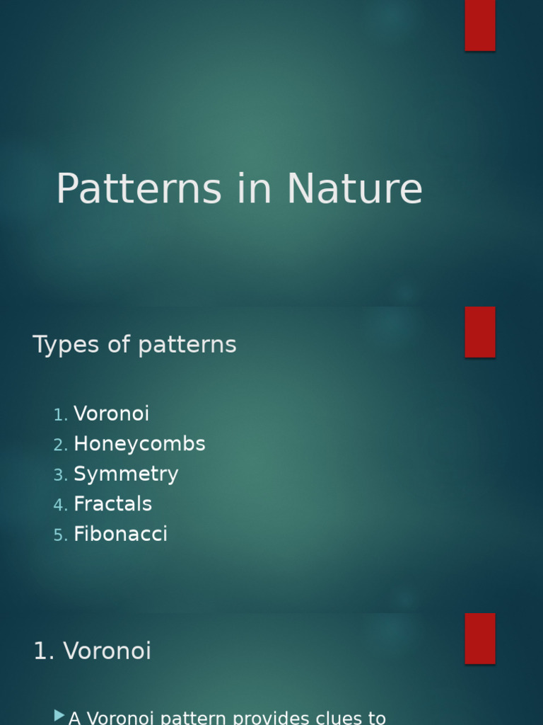 Patterns in Nature | PDF