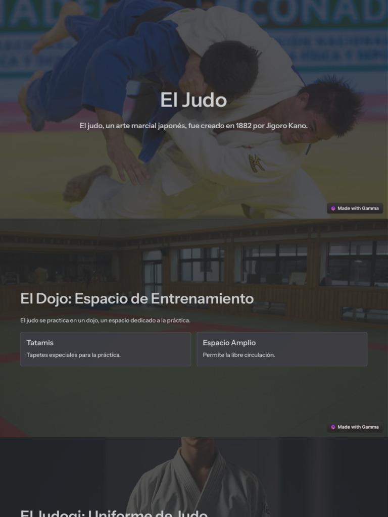 El Judo | PDF