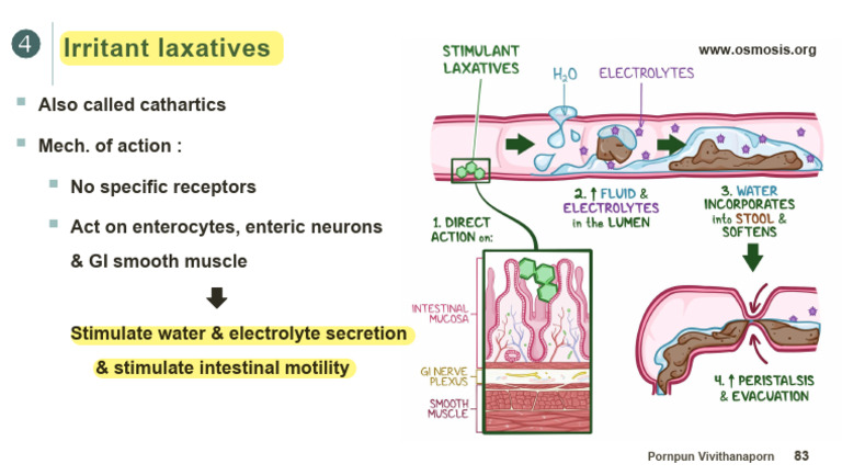 Lect12-13 RAID212 GI 2023 Student | PDF