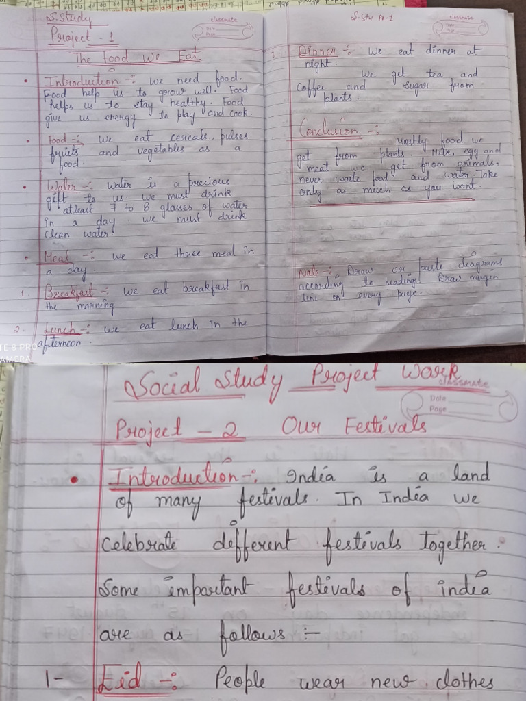 S. study project 1,2&3 | PDF