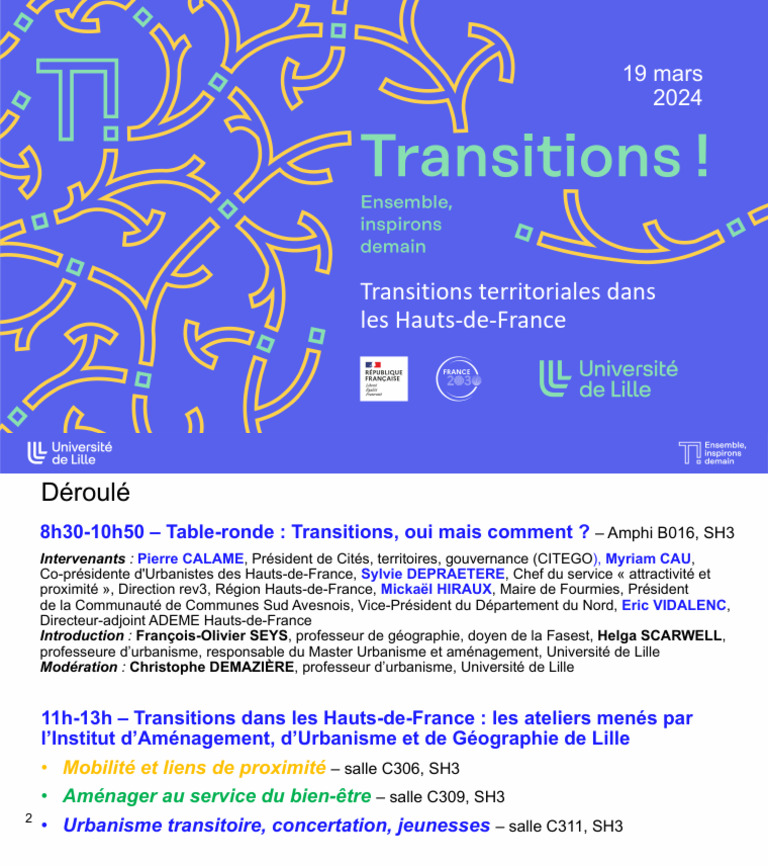 TRANSITIONS Synthese Programme | PDF
