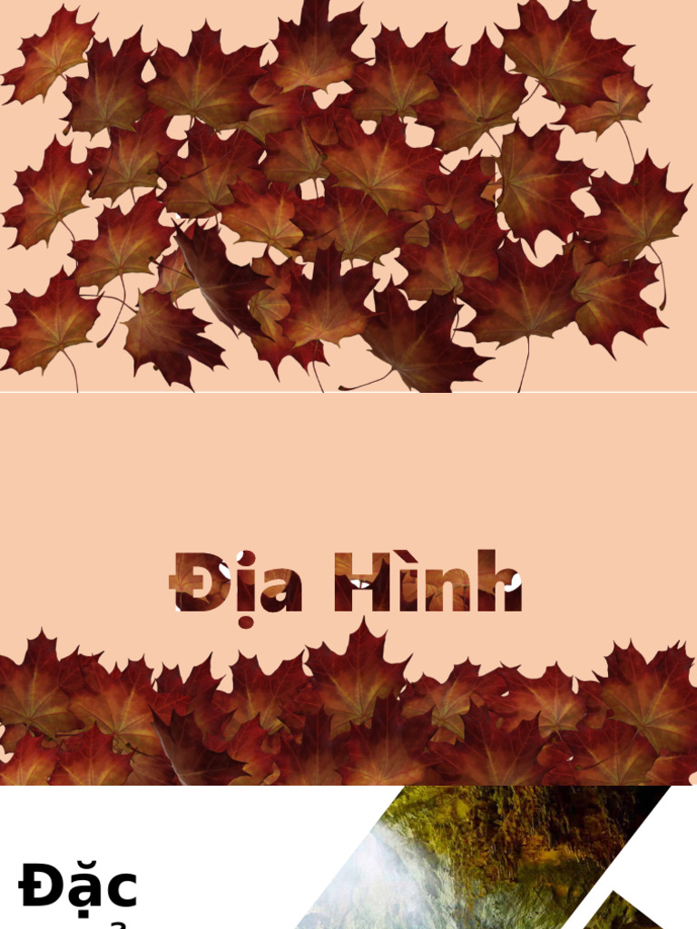 Presentation2 [Autosaved] | PDF