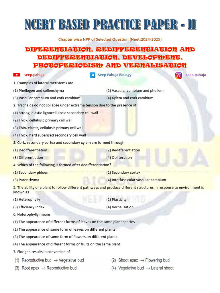 NPP 2 Plant Growth | PDF