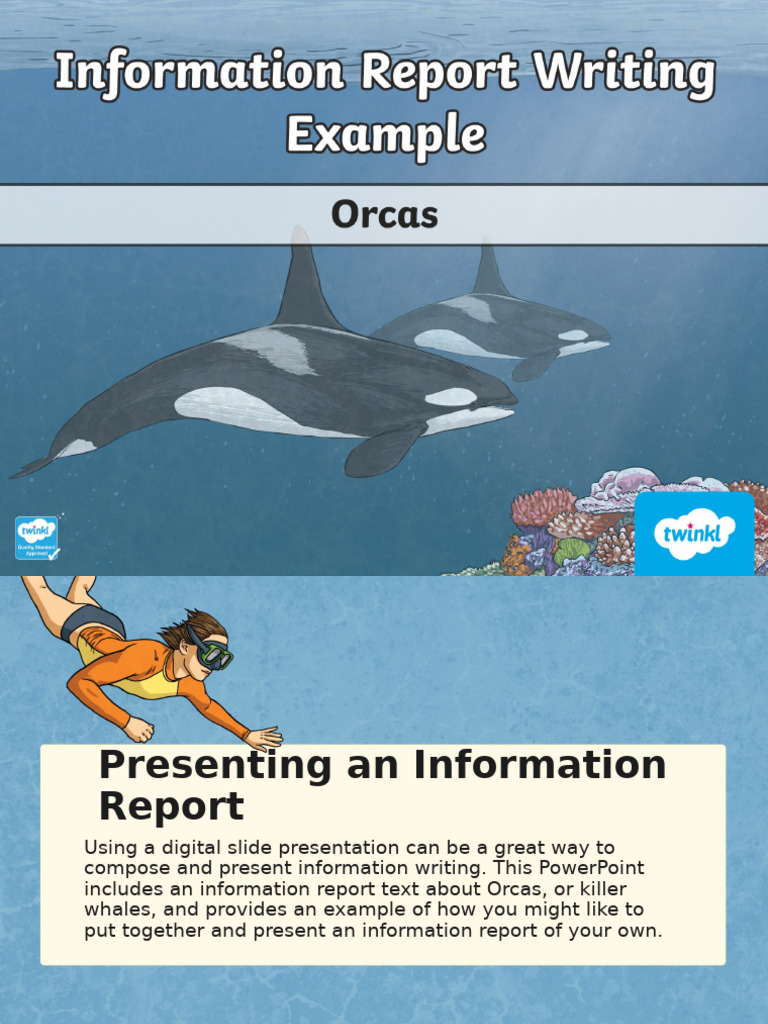 Au L 2549357 Orcas Information Report Writing Example Ver 2 | PDF