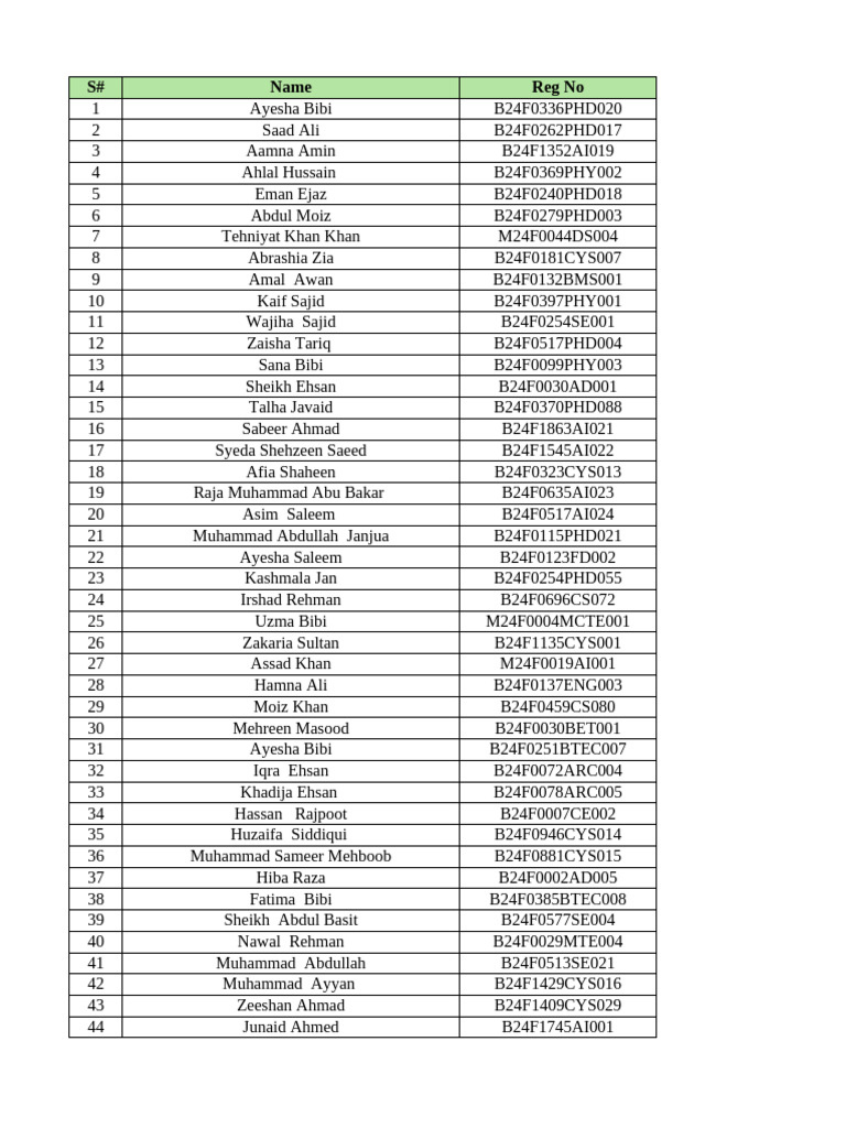 Fall2024 Students | PDF