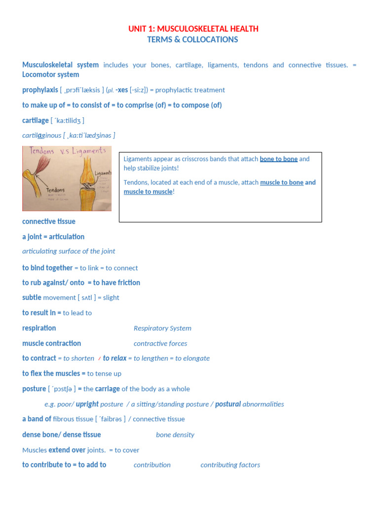 Unit 1 Terms&Collocations | PDF