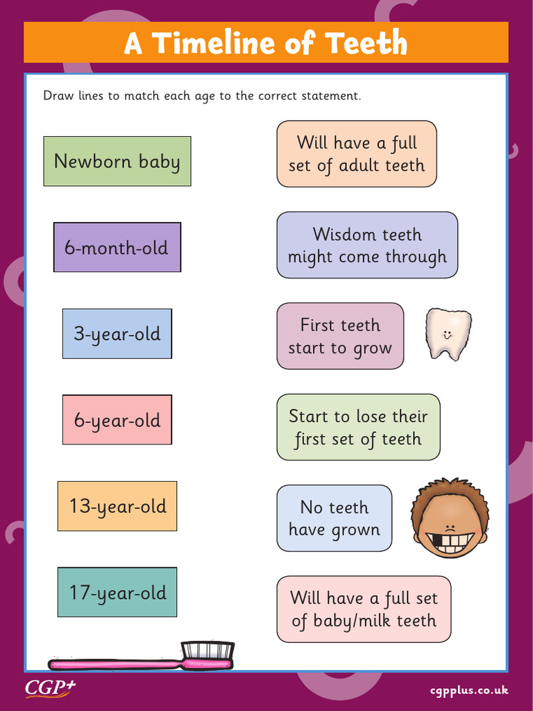 A Timeline of Teeth (Year 4) Full Colour - S2WAC1314 | PDF