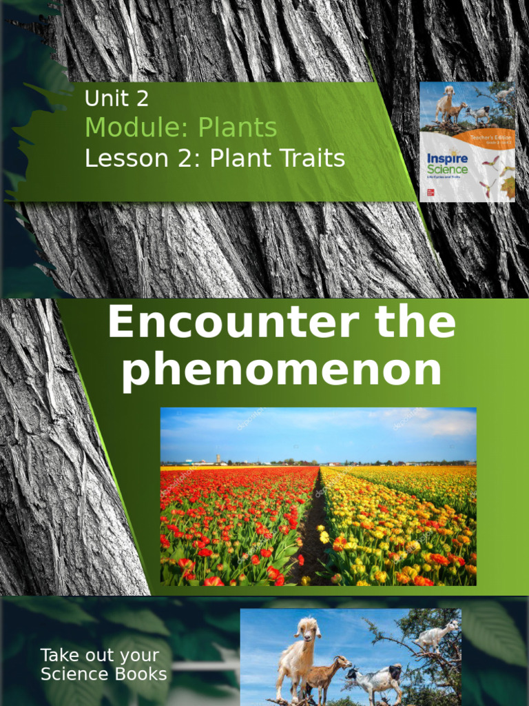 T1 Week 8 Day1 U2 L2 Encounter The Phenomenon | PDF