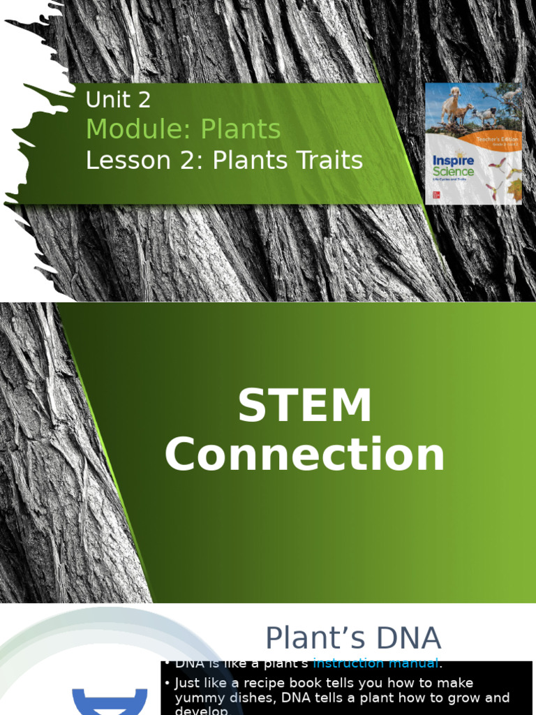 T1 Week 8 Day4 U2 L1 Review | PDF