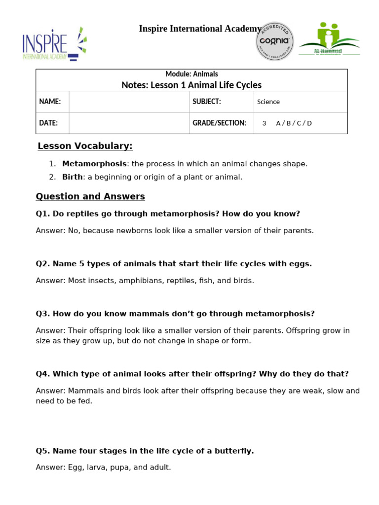 Animal Life Cycles for Grade 3 | PDF | Zoology