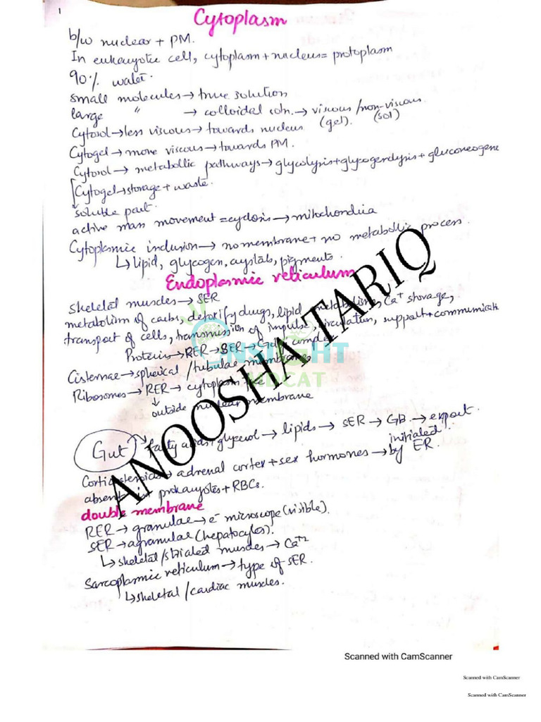 Cell Structure Notes by Anoosha - Watermarked - 230115 - 071454 | PDF