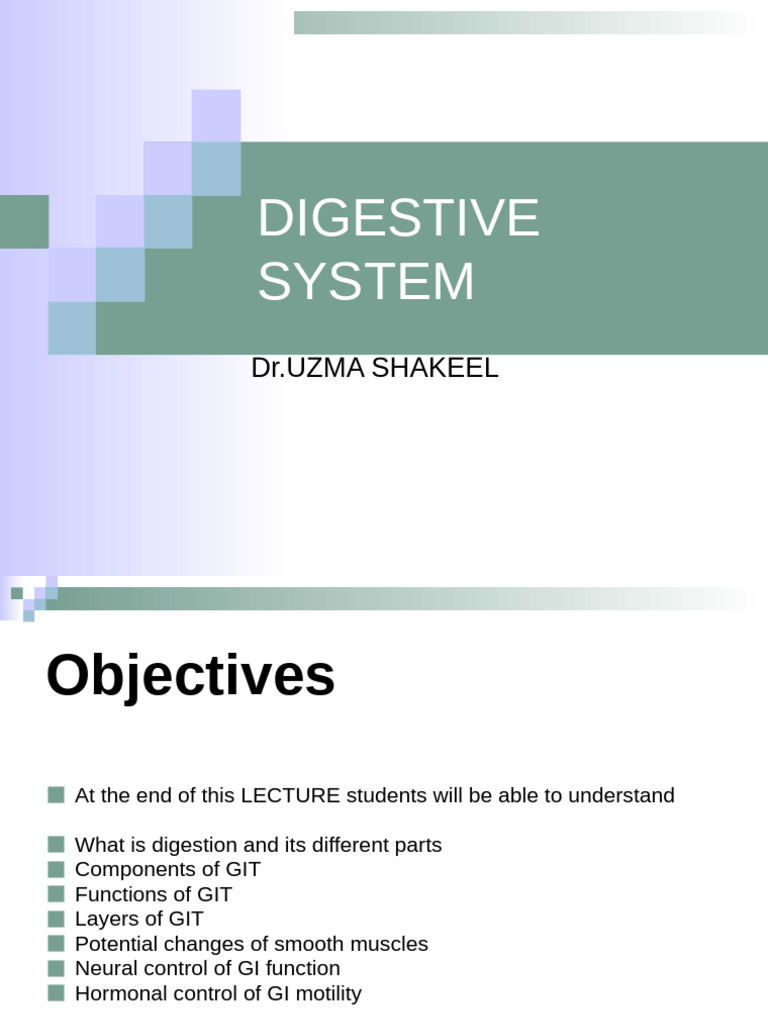 Digestive System | PDF