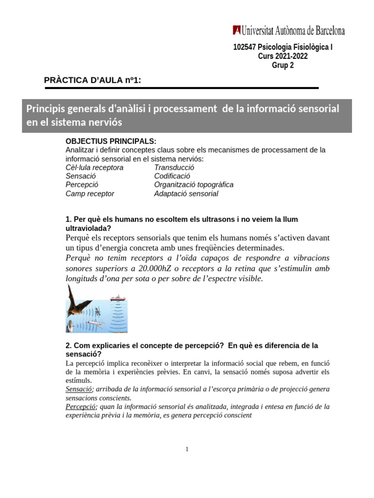 Paul 1 2021 | PDF