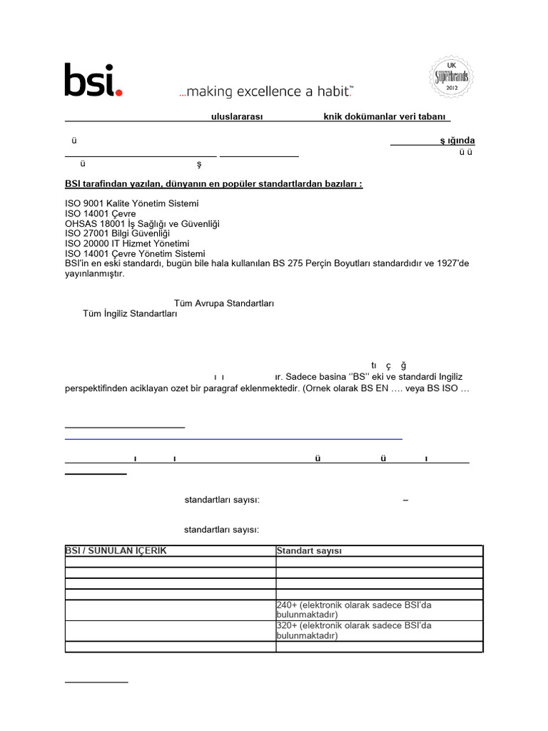 33 - BSI Investigations | PDF