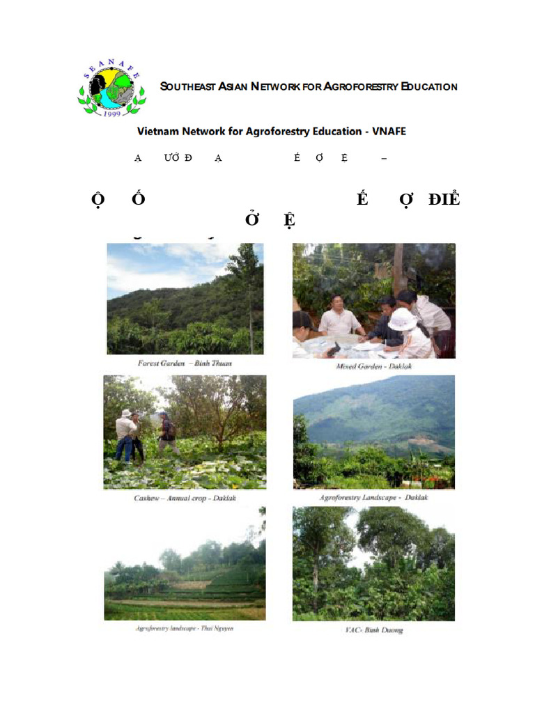 VN Agroforestry Model Documentation in VN | PDF