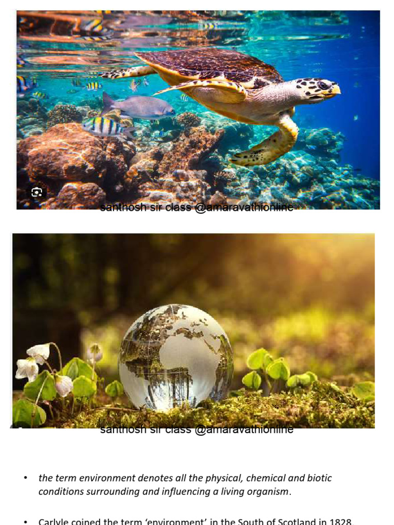 Understanding Ecosystems and Limiting Factors | PDF | Food Web | Home ...