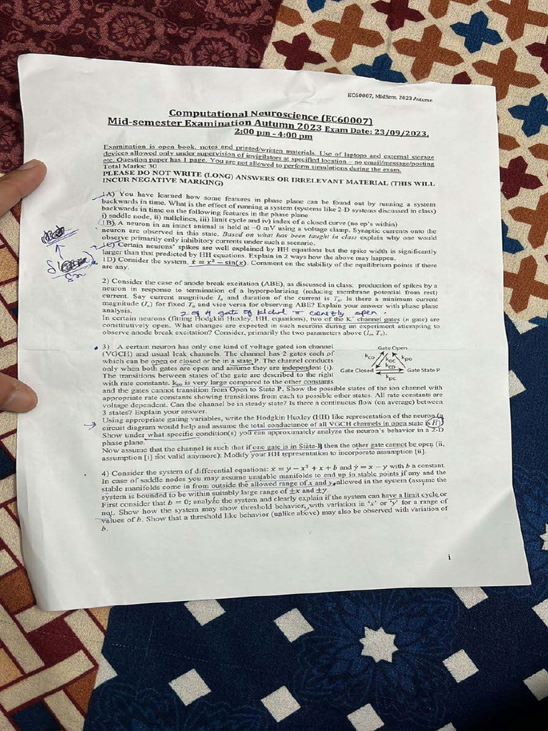 Exam Comp Neuro | PDF